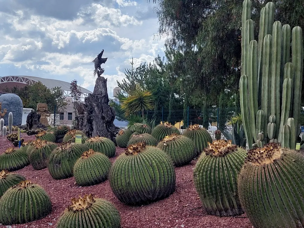 El Museo El Rehilete: Un Lugar Fascinante para Explorar