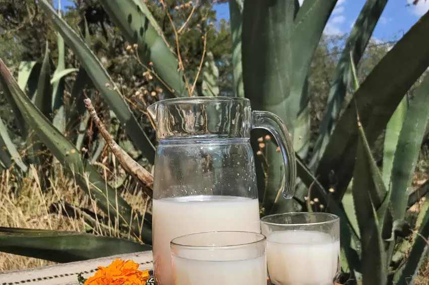 Qué Hacer en Hidalgo